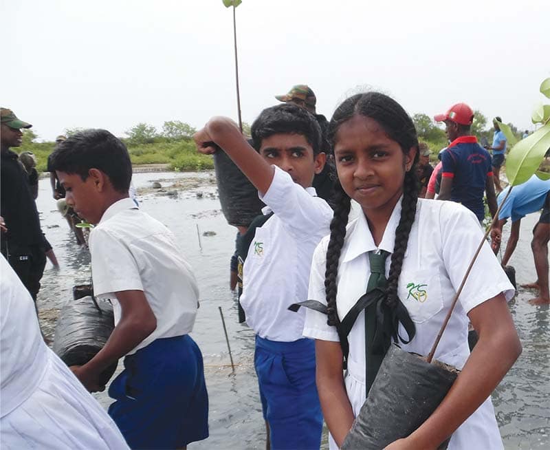 Programs – Lanka Mangrove Museum